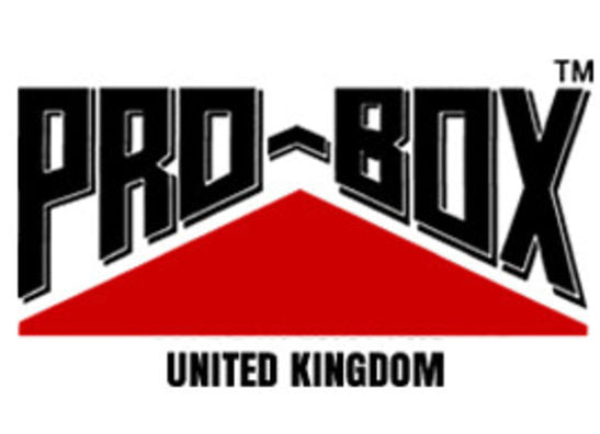 PROBOX JUNIOR BOXING BOOTS – Champs Bxing ltd